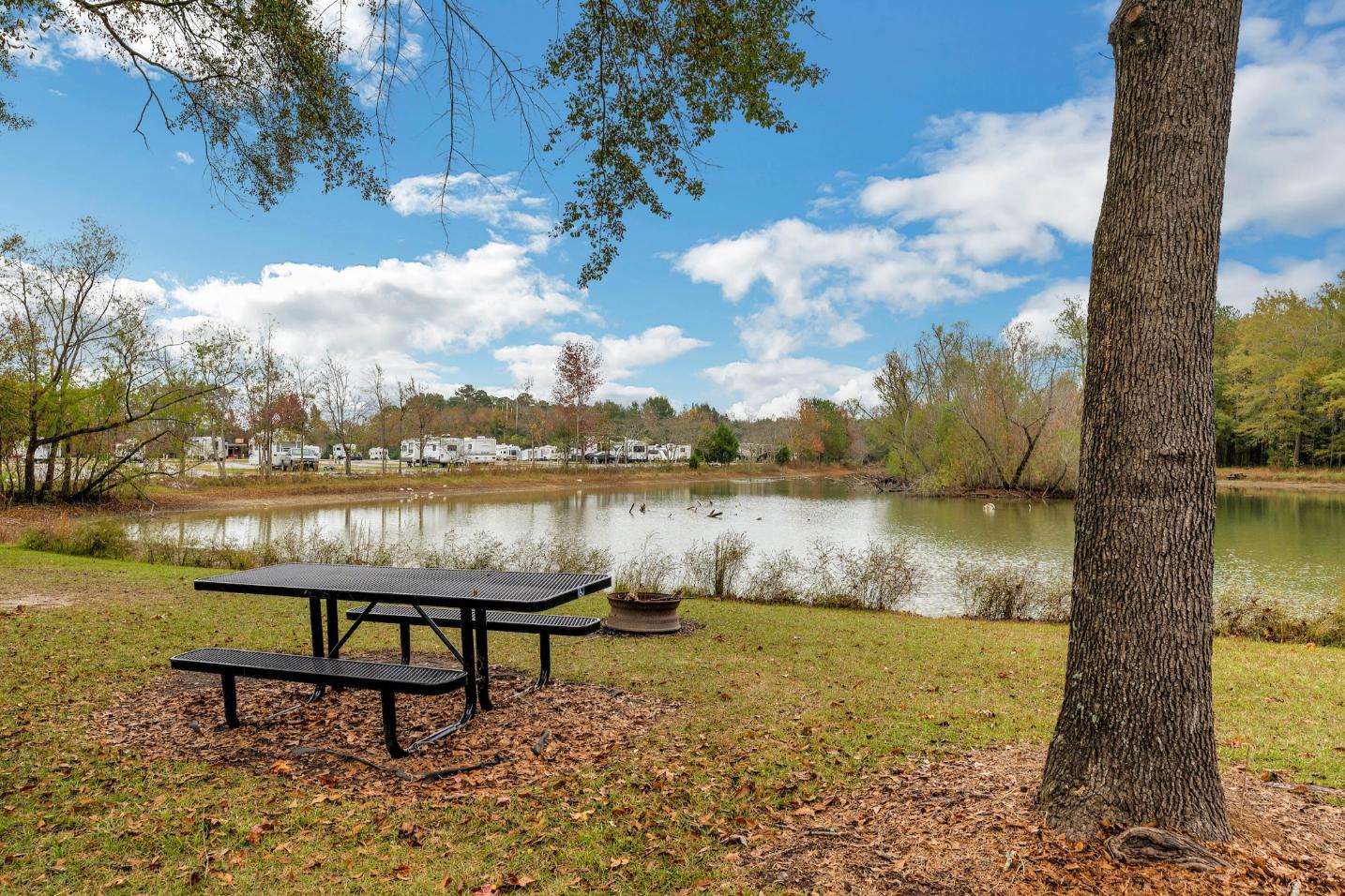 Our Resort - The Backyard RV Resort