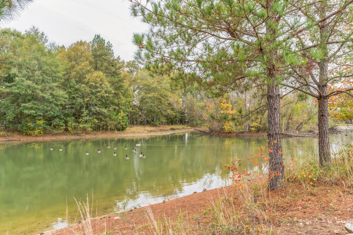 Our Resort - The Backyard RV Resort